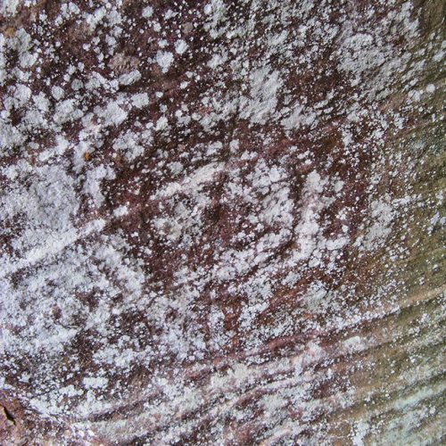 Rock Art, Native American - Encyclopedia of Arkansas