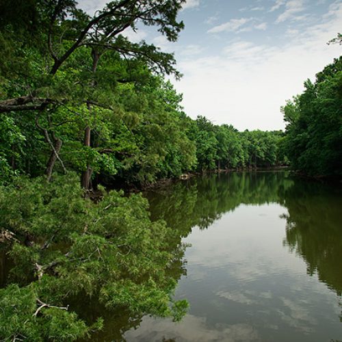 Arkansas System of Natural Areas - Encyclopedia of Arkansas