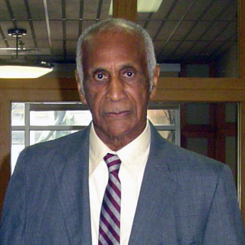 Original Tuskegee Airmen - Encyclopedia of Arkansas