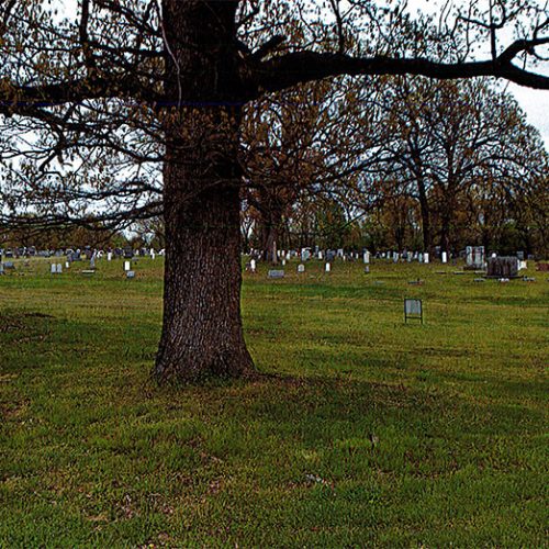 Elm Springs Cemetery, Historic Section - Encyclopedia of Arkansas