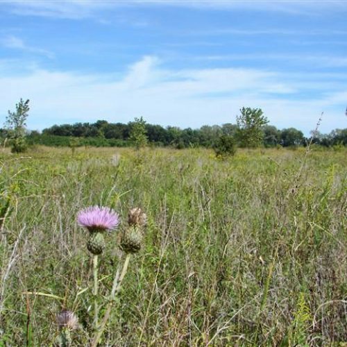 Eaker Air Force Base - Encyclopedia of Arkansas