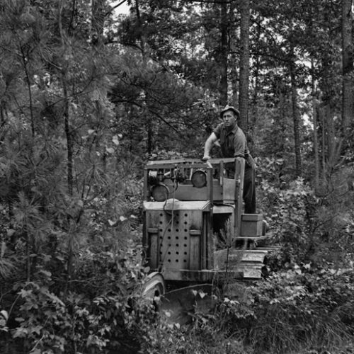 Arkansas Forestry Commission - Encyclopedia of Arkansas