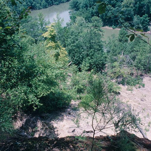 Forts Lookout and Southerland - Encyclopedia of Arkansas