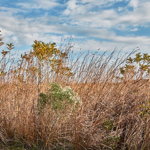 Grand Prairie - Encyclopedia of Arkansas