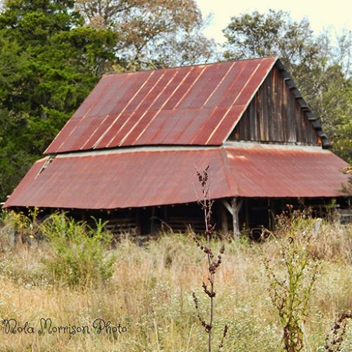 Marcella (Stone County) - Encyclopedia of Arkansas