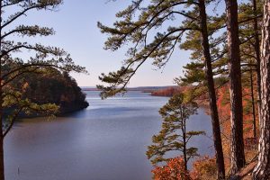 Nimrod Dam and Lake - Encyclopedia of Arkansas