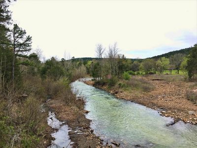 Little Cedar Creek - Encyclopedia of Arkansas