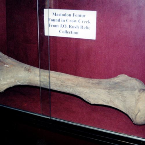 Mastodon Femur - Encyclopedia of Arkansas