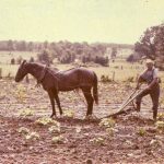 Oil Trough (Independence County) - Encyclopedia of Arkansas