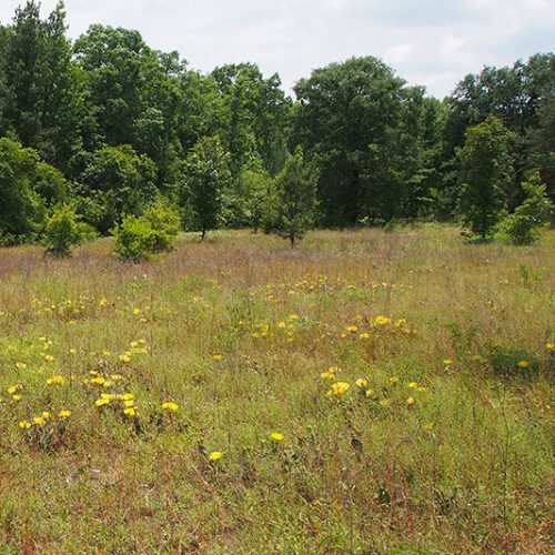 Protected Areas Archives - Page 2 of 3 - Encyclopedia of Arkansas