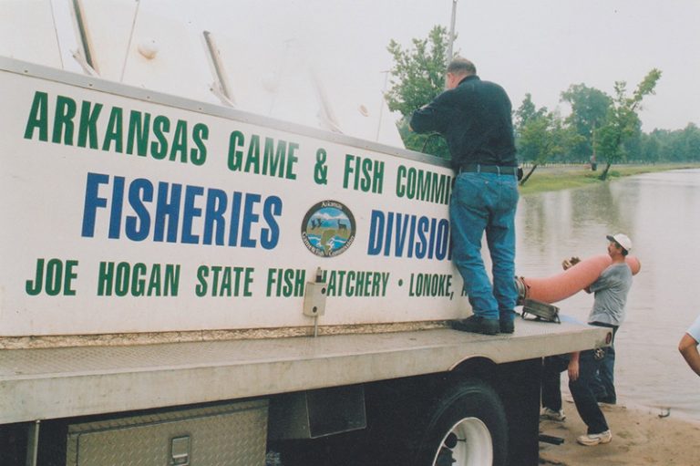 Fingerling Stocking - Encyclopedia of Arkansas