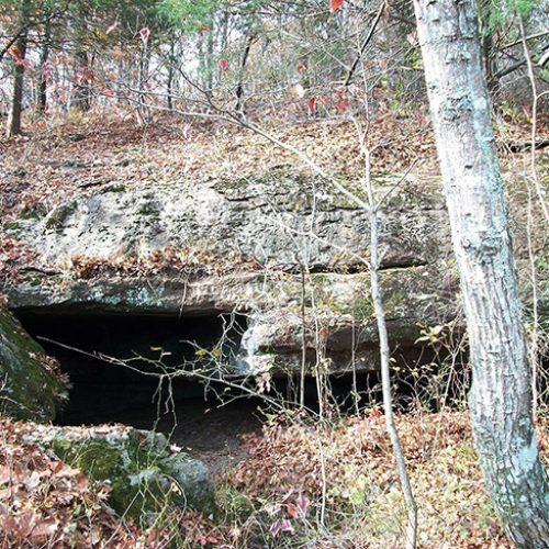Saltpeter Mining - Encyclopedia of Arkansas