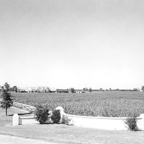 Wilson (Mississippi County) - Encyclopedia of Arkansas