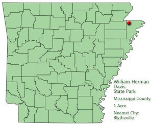 Herman Davis State Park - Encyclopedia of Arkansas