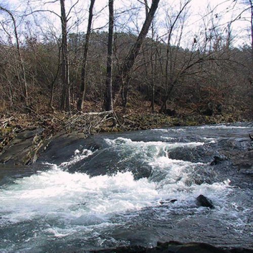 Arkansas System of Natural Areas - Encyclopedia of Arkansas