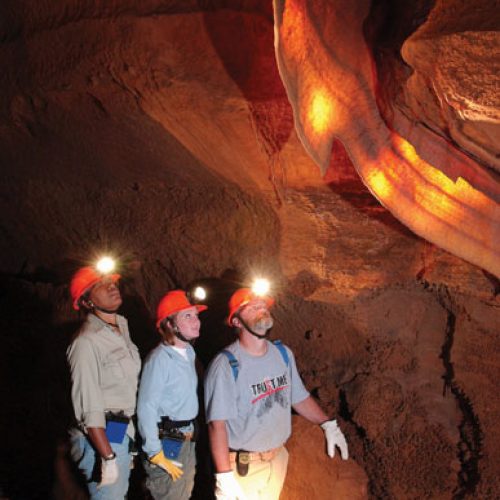 Caves and Caverns - Encyclopedia of Arkansas