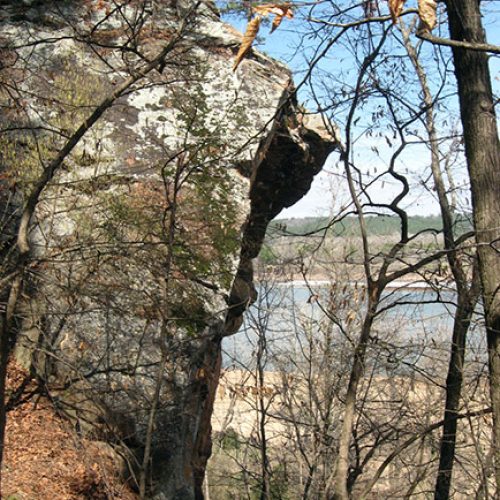 Yell County - Encyclopedia of Arkansas