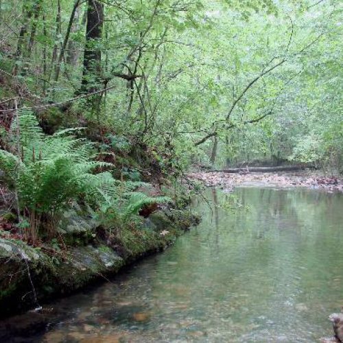 Arkansas System of Natural Areas - Encyclopedia of Arkansas
