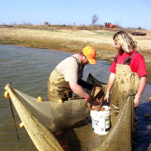 Aquaculture - Encyclopedia of Arkansas