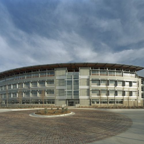 Heifer International - Encyclopedia of Arkansas