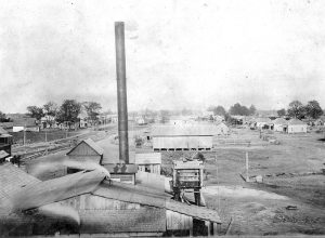 Manila Stave Mill - Encyclopedia of Arkansas