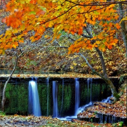 Withrow Springs State Park - Encyclopedia of Arkansas