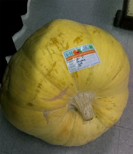 Prize Pumpkin - Encyclopedia of Arkansas