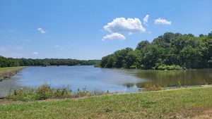 Lake Des Arc - Encyclopedia of Arkansas