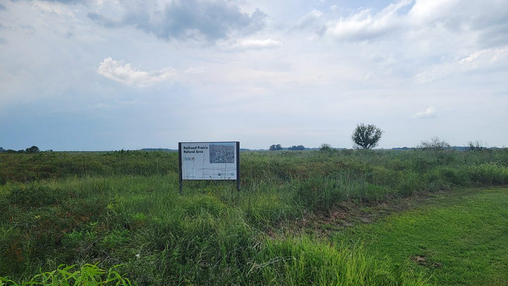 Railroad Prairie Natural Area - Encyclopedia of Arkansas