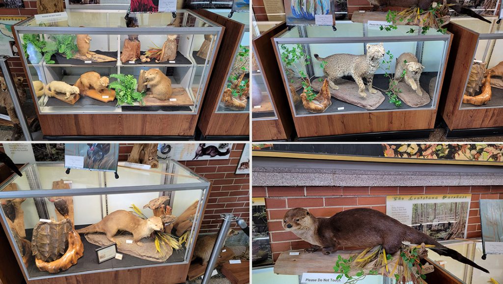 Animal Displays - Encyclopedia of Arkansas