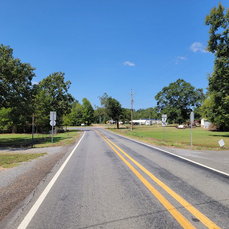 Manning Street Scene - Encyclopedia of Arkansas
