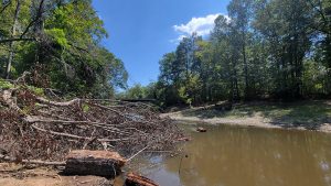 Saline River at Jenkins Ferry - Encyclopedia of Arkansas