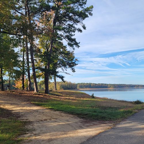 Narrows Dam - Encyclopedia of Arkansas
