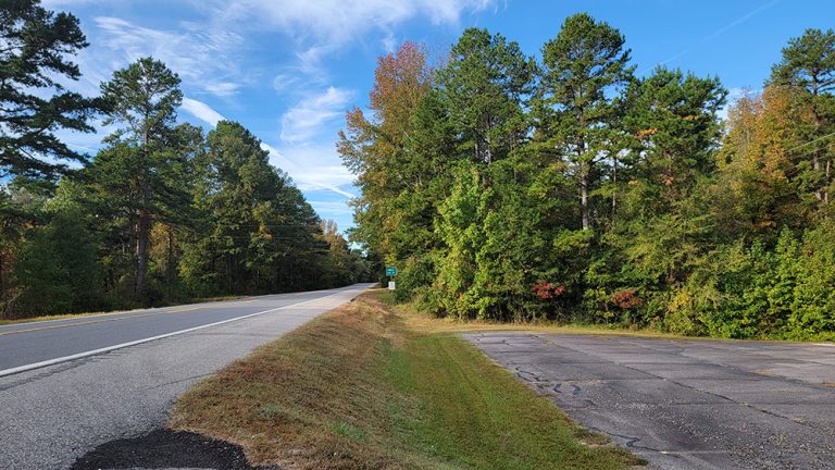 Daisy - Encyclopedia of Arkansas